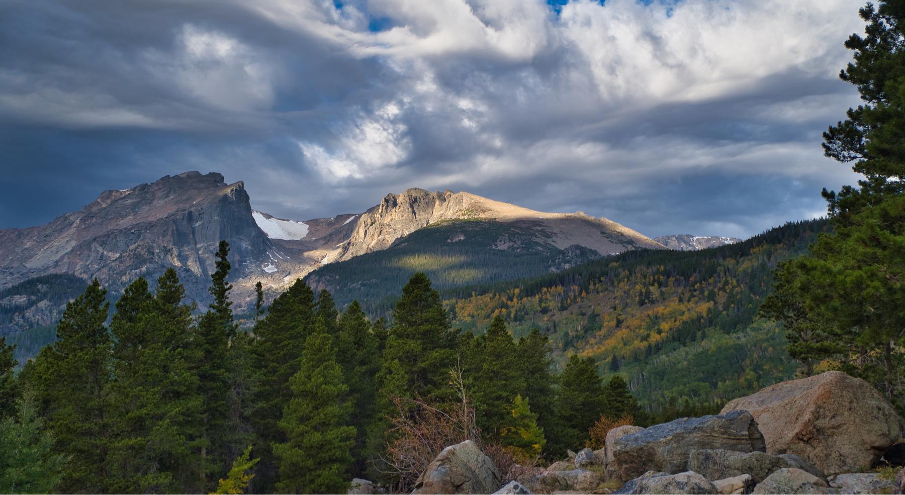 Sarah Wood and Zirgham Bhatti's Wedding Website