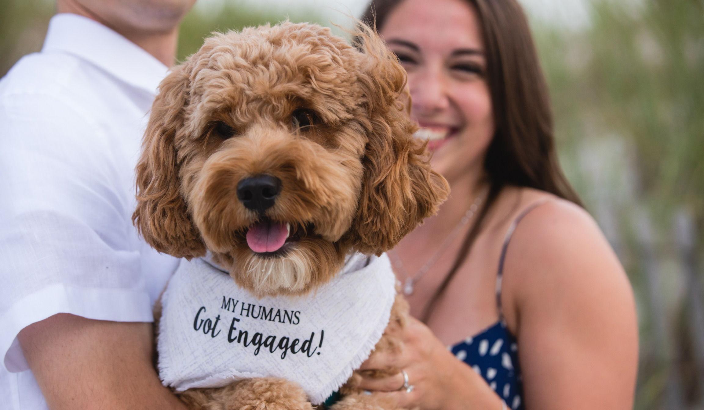 Matthew Stedman and Jenna Bartolotti's Wedding Website