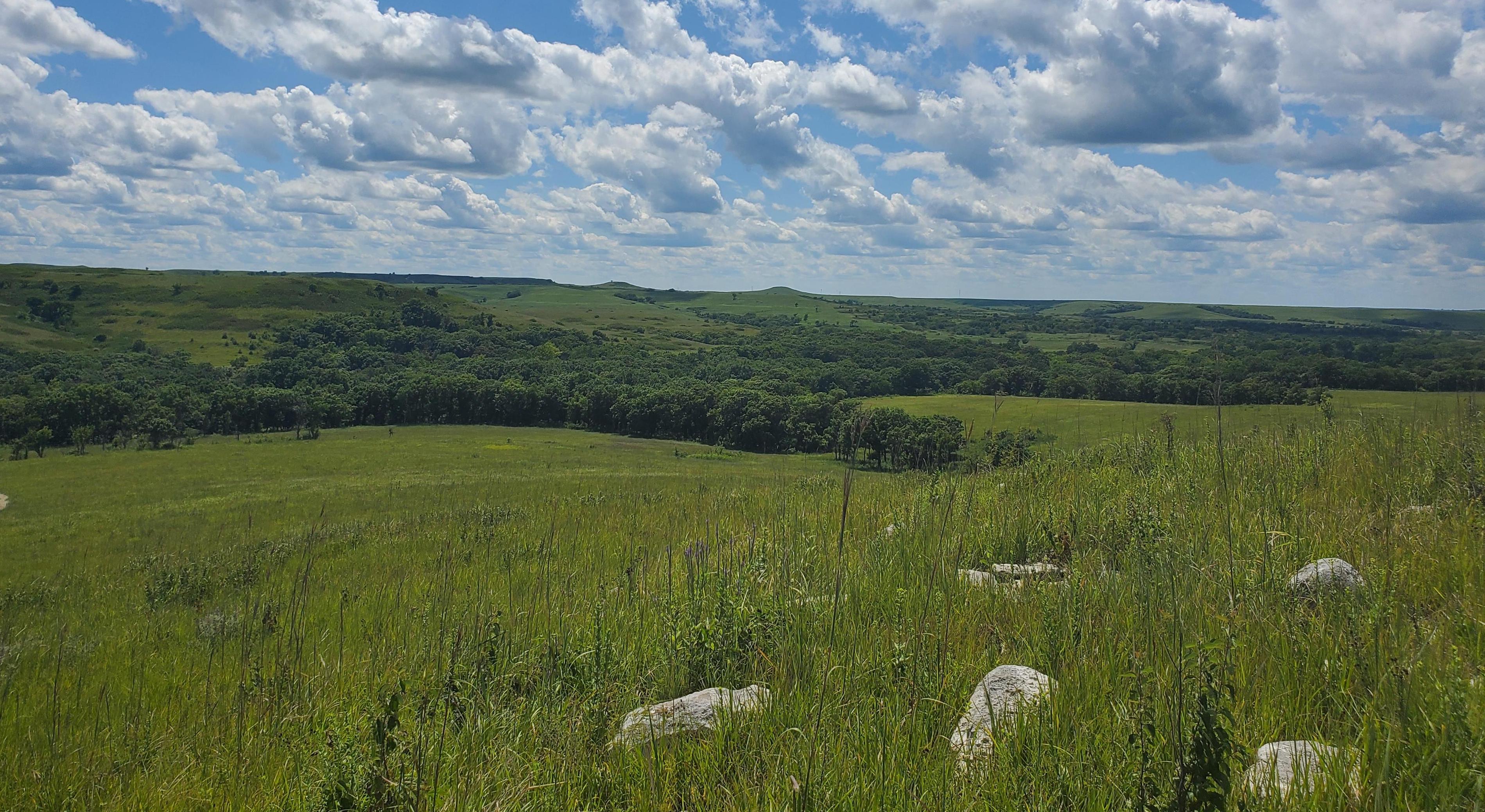 Meaghan Catherine and Robert Angelo's Wedding Website