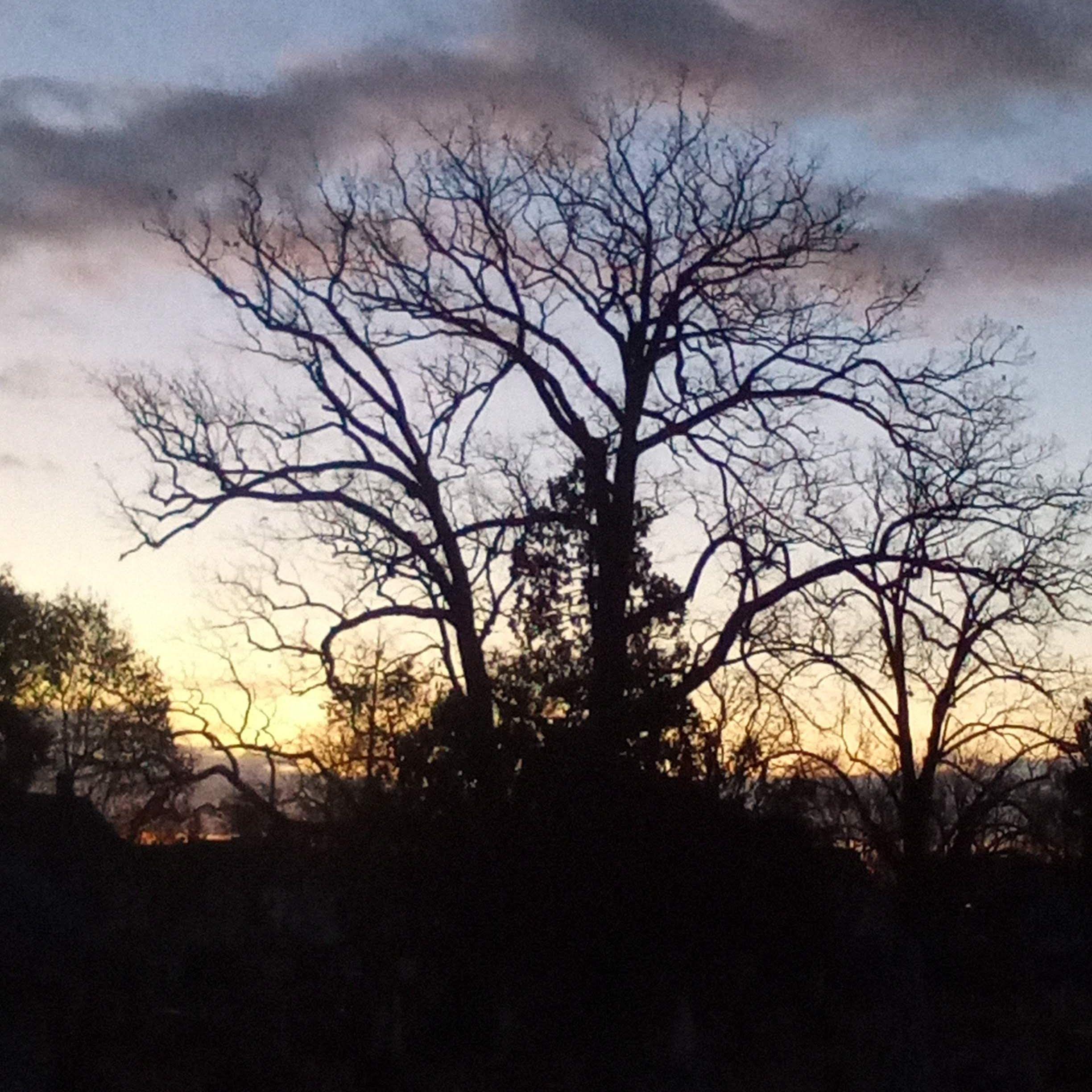 Susan Robitelle and Paul Therrien's Wedding Website