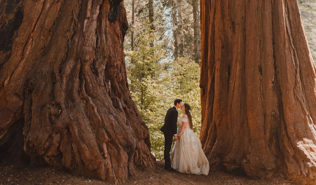 Brielle Jamar and Jesse Kinney's Wedding Website