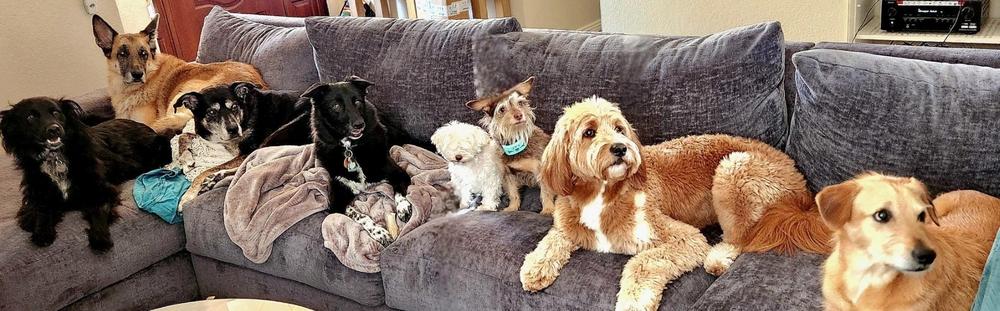 Brittany Kasprzyk and Patrick Belling's Wedding Website