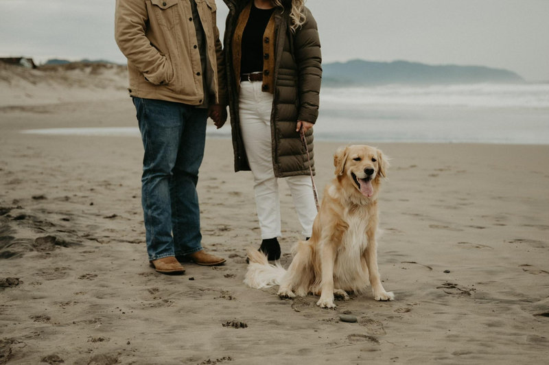 Jessica Hoyt and Dillon Davidson's Wedding Website