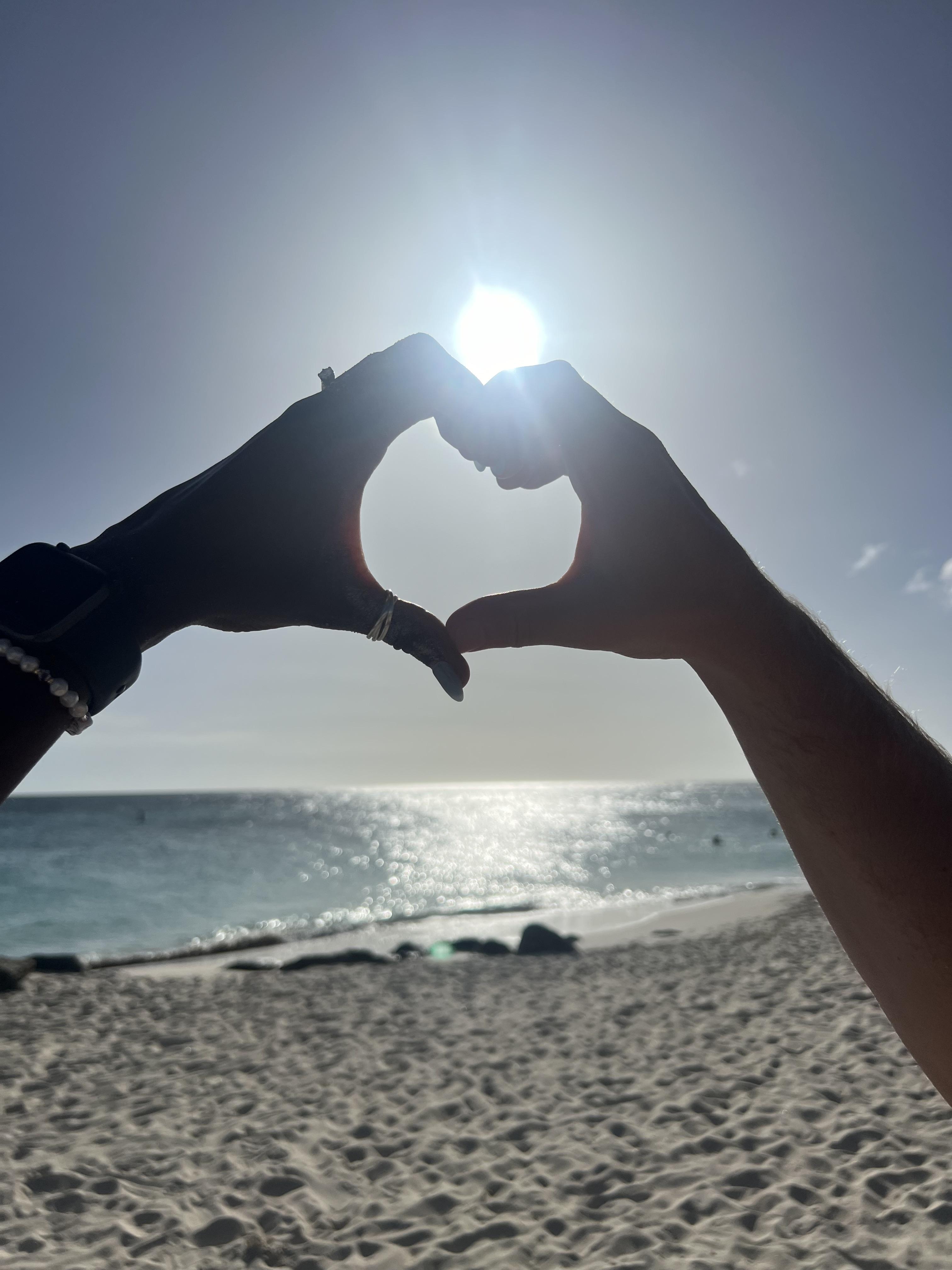 Sophonie Bernard and Bryan Szettella's Wedding Website