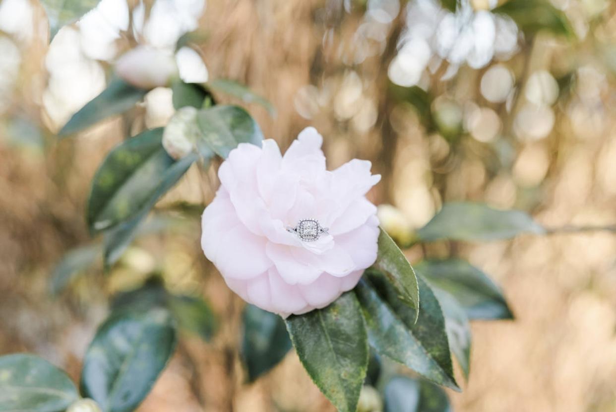 Sarah Smith and Cole Lewis' Wedding Website