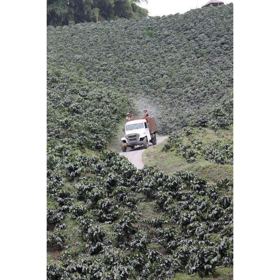 Juanita Builes Naranjo and Fabian Enrique Leñero Agraz's Wedding Website