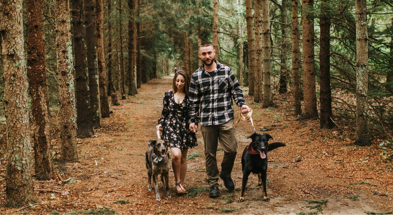 Amanda Rankin and Shamus Gillheeney's Wedding Website