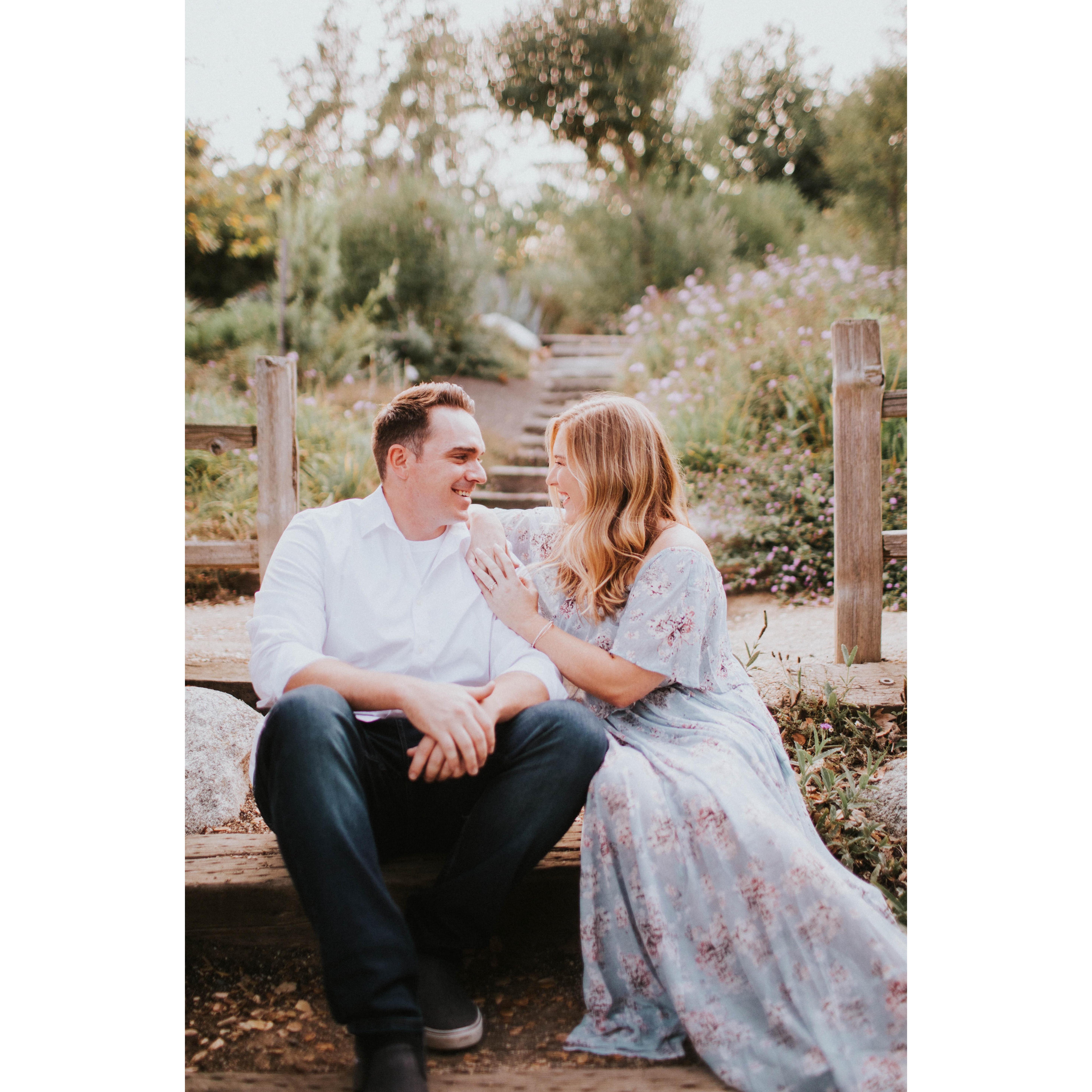 Tiffany Harding and Nicholas Zimmer's Wedding Website