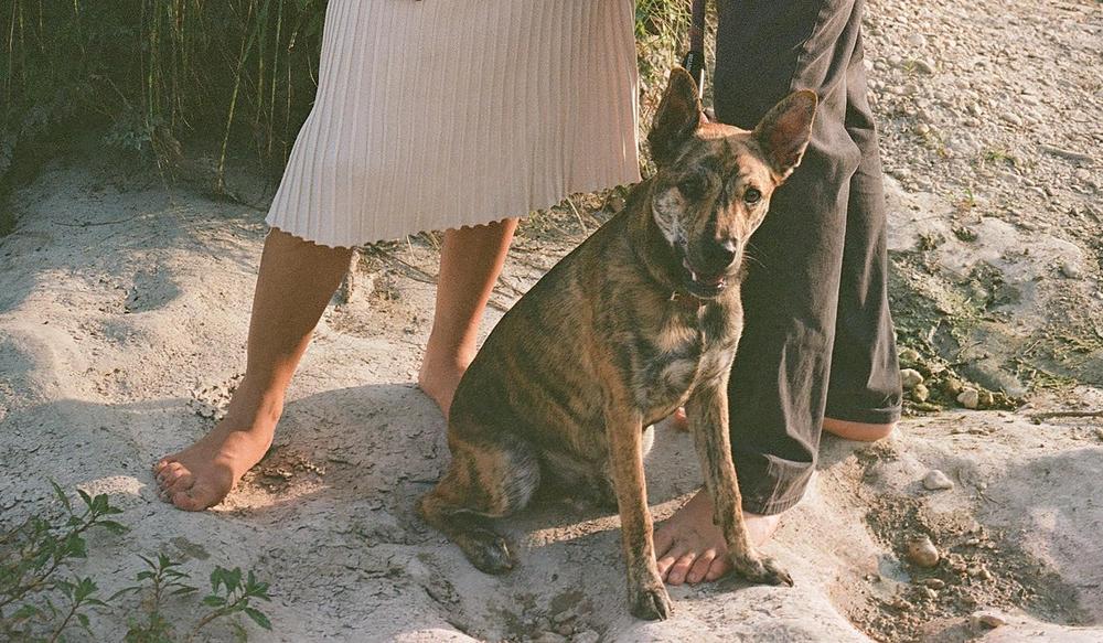 Erica Reyes and Travis Hopson's Wedding Website