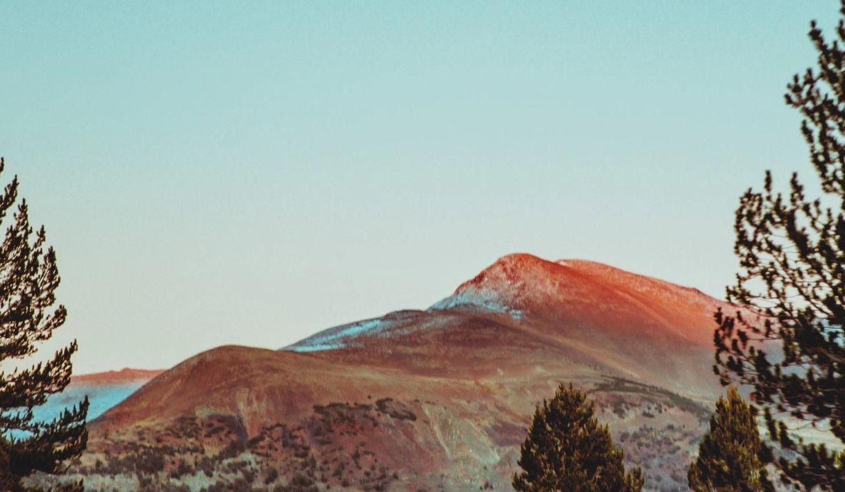 Emily Eval and David McCraw's Wedding Website