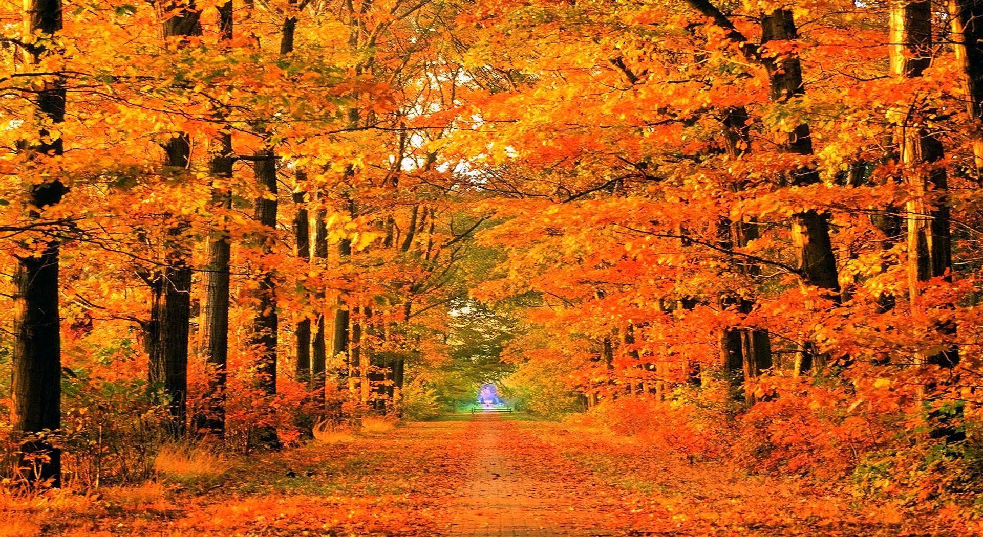 Colleen Conley and Chris Slattery's Wedding Website