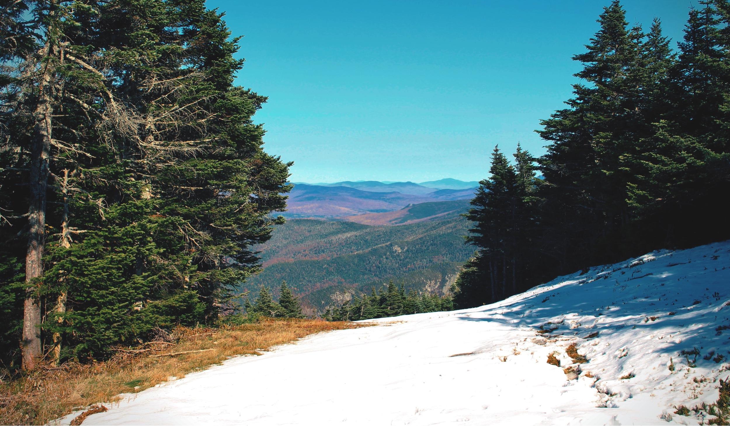 McKenzie Baxter and Jake Tarnowski's Wedding Website