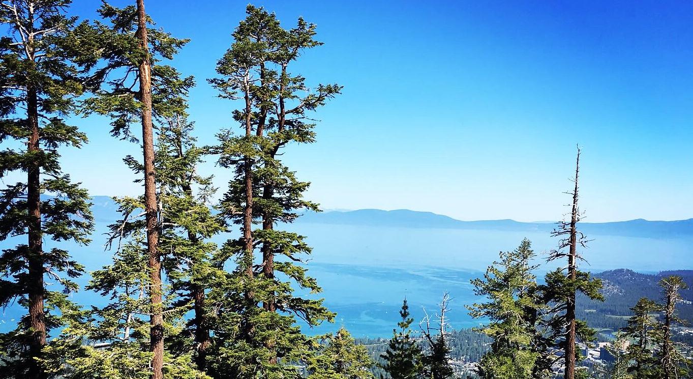 Beth Lieblick and David Jimison's Wedding Website