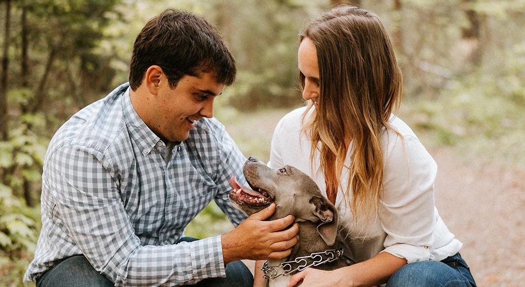 Allison Cote and Devin Frederick's Wedding Website