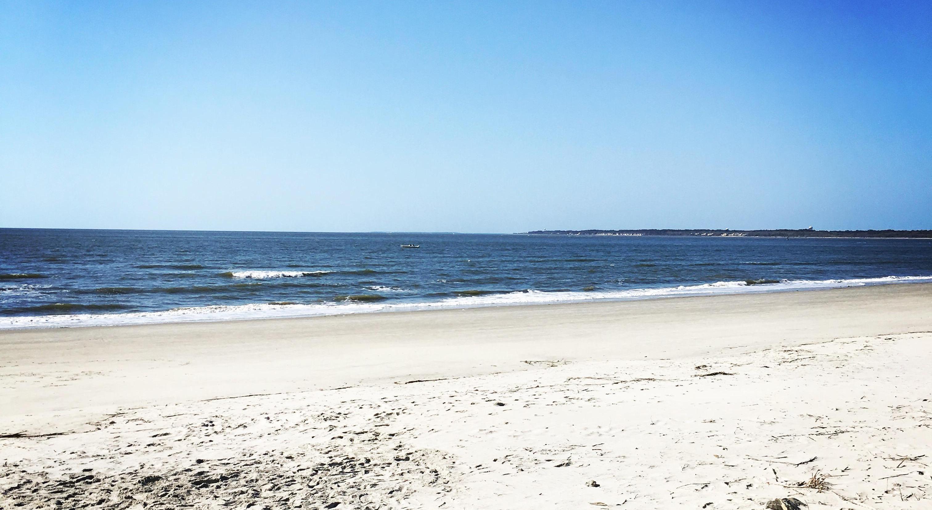 Alexandra Backes and Brendan Fisk's Wedding Website