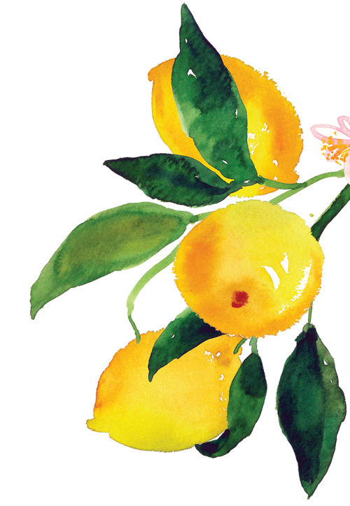 Alexia Hynes and Michael Colacci's Wedding Website