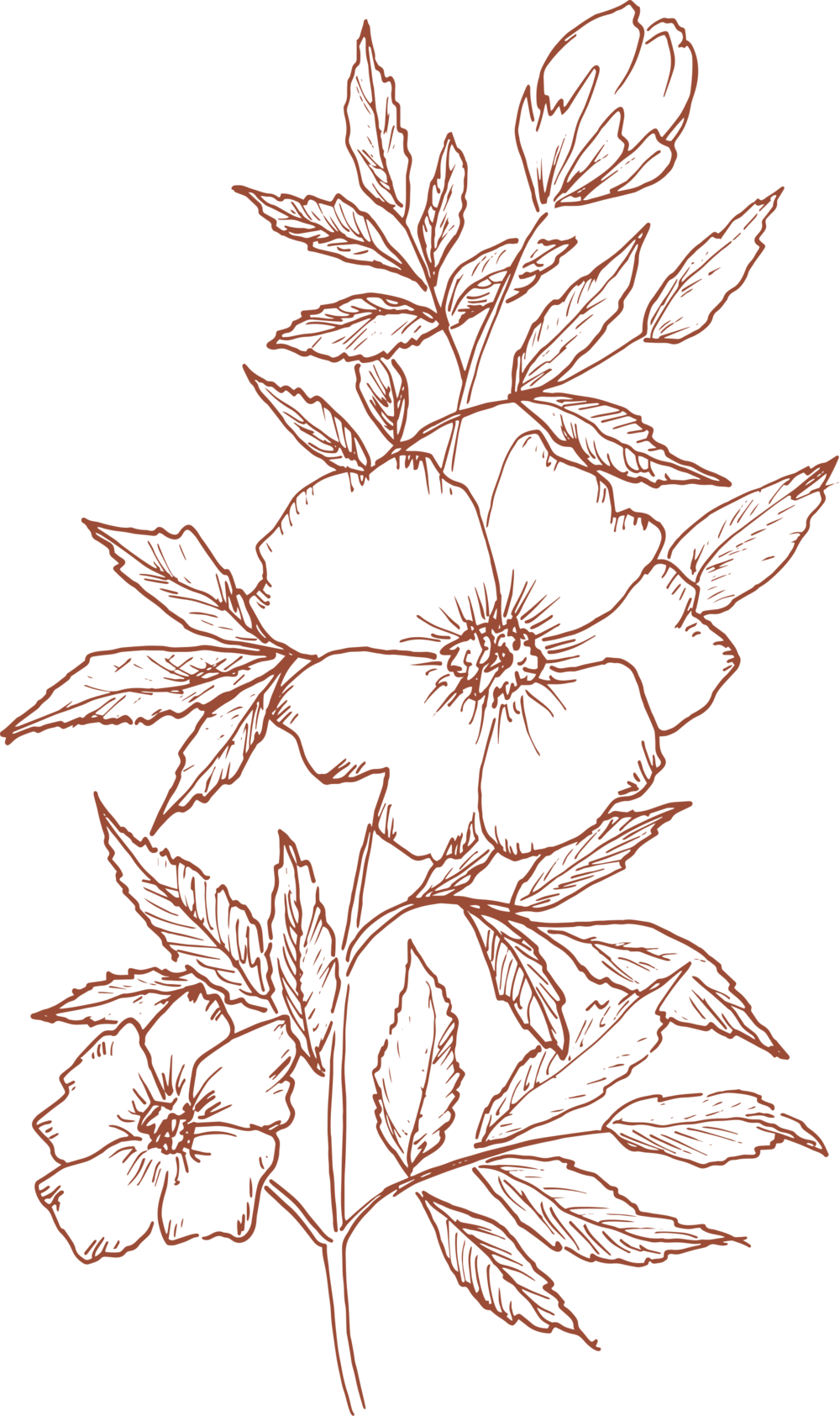 Megan Palluzzi and Andrew Breault's Wedding Website