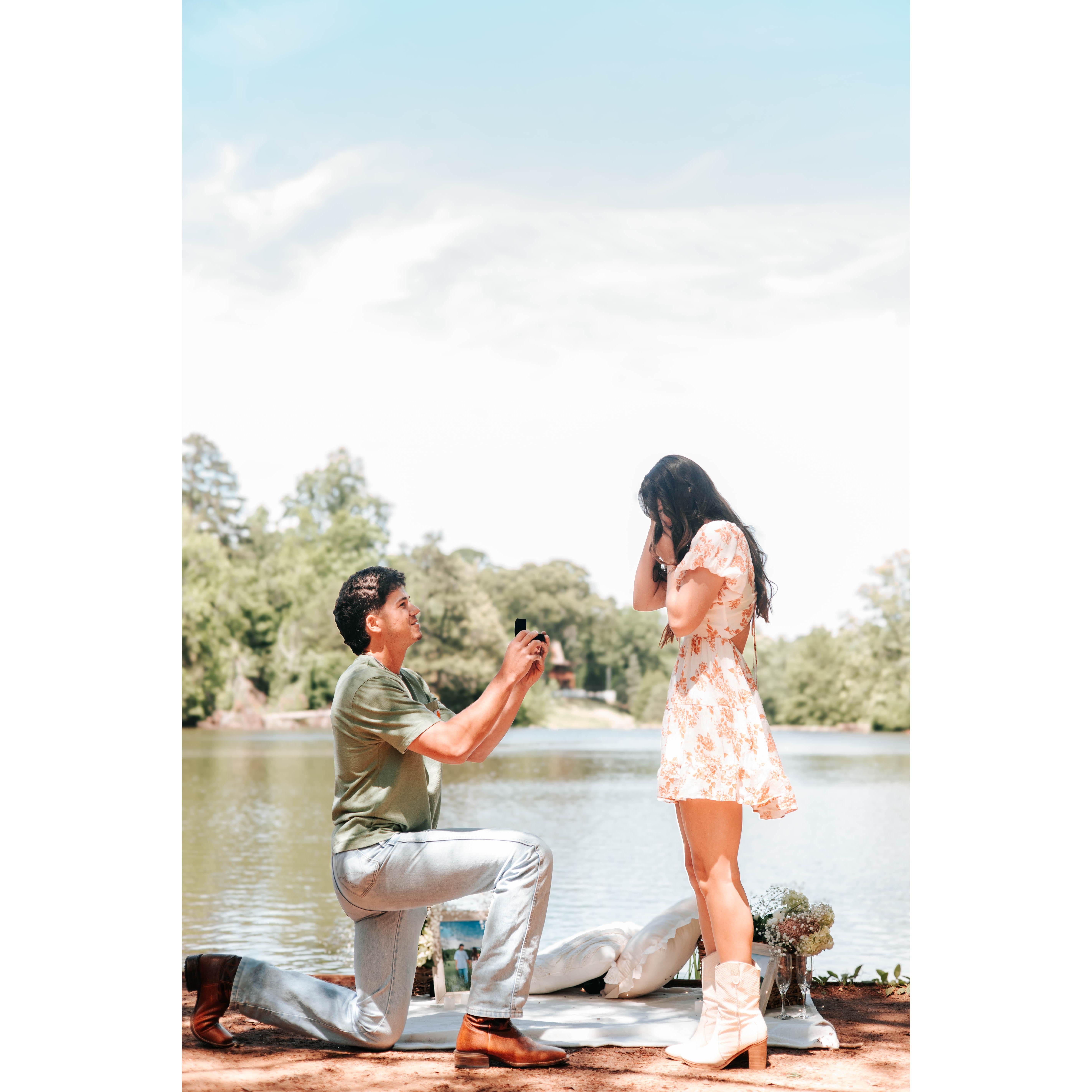 Abigail Nelson and Joshua Legnard's Wedding Website