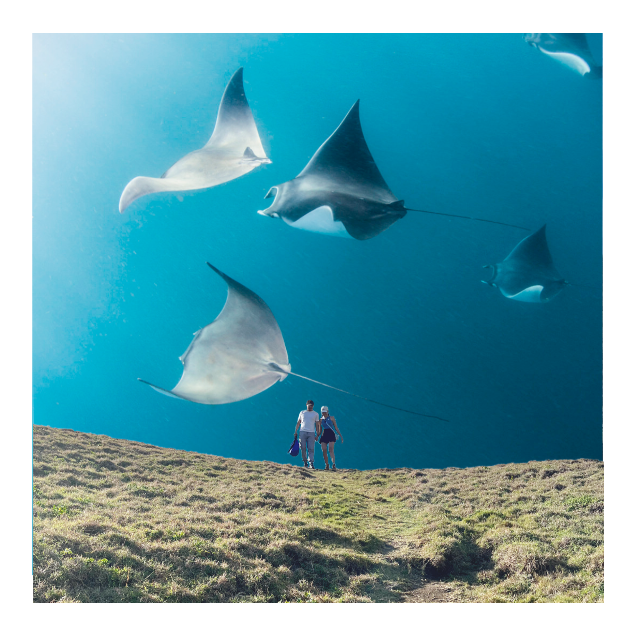 Sam Dizon and Rafa Noel's Wedding Website