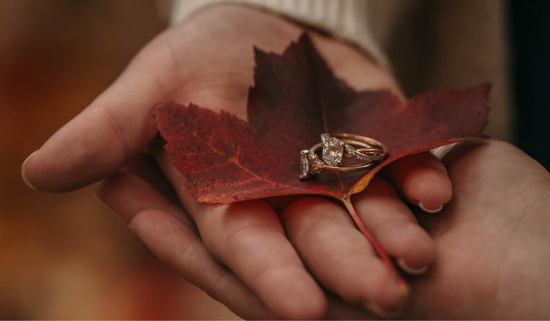 Andee Lefler and Rose Novak's Wedding Website