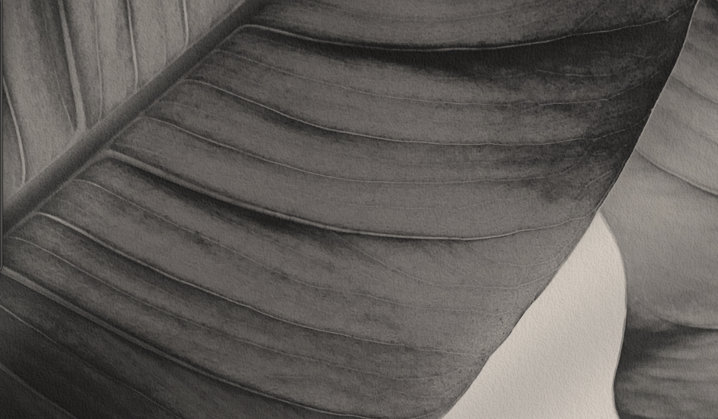 Chantelle Rossow and Jacob Coker's Wedding Website