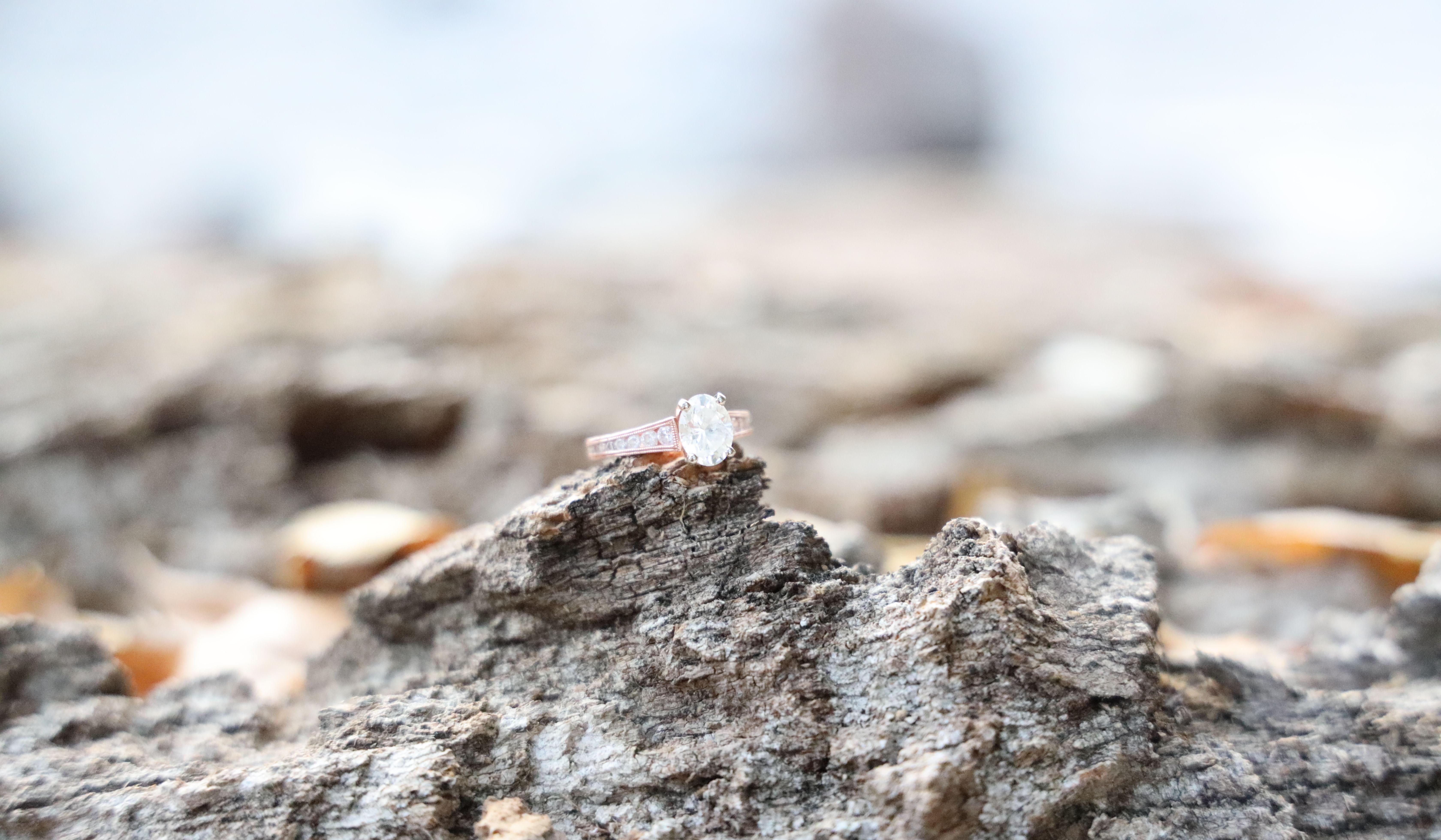 Michael Pandolfi and Megan Sellinghausen's Wedding Website