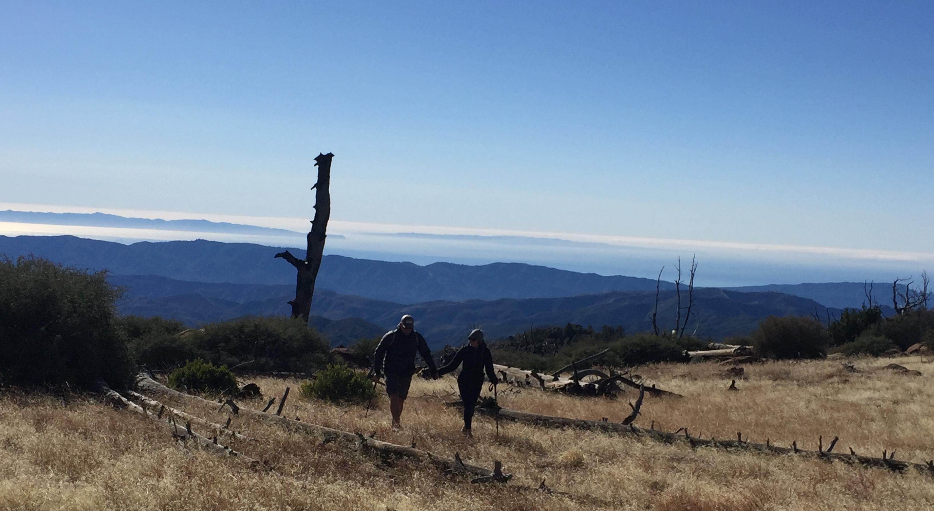 Anna James and Jesse Bickley's Wedding Website