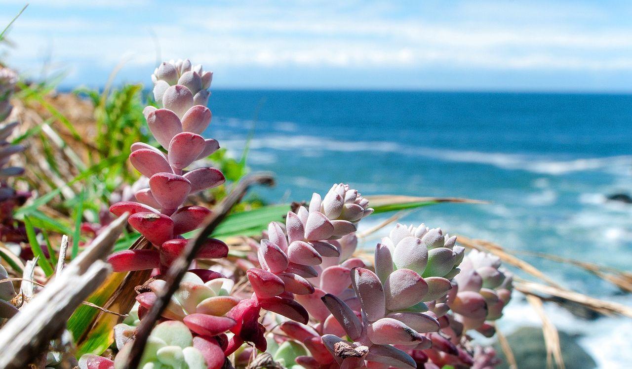 Shay Jones and Jerry Vitale's Wedding Website