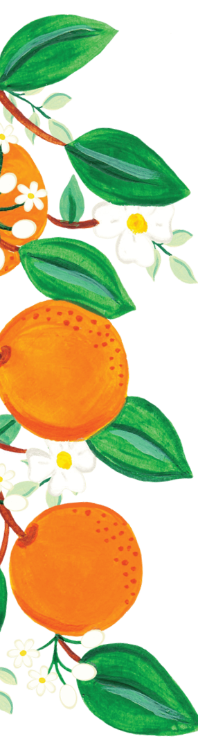 Gretchen Lescord and Michael Matson's Wedding Website