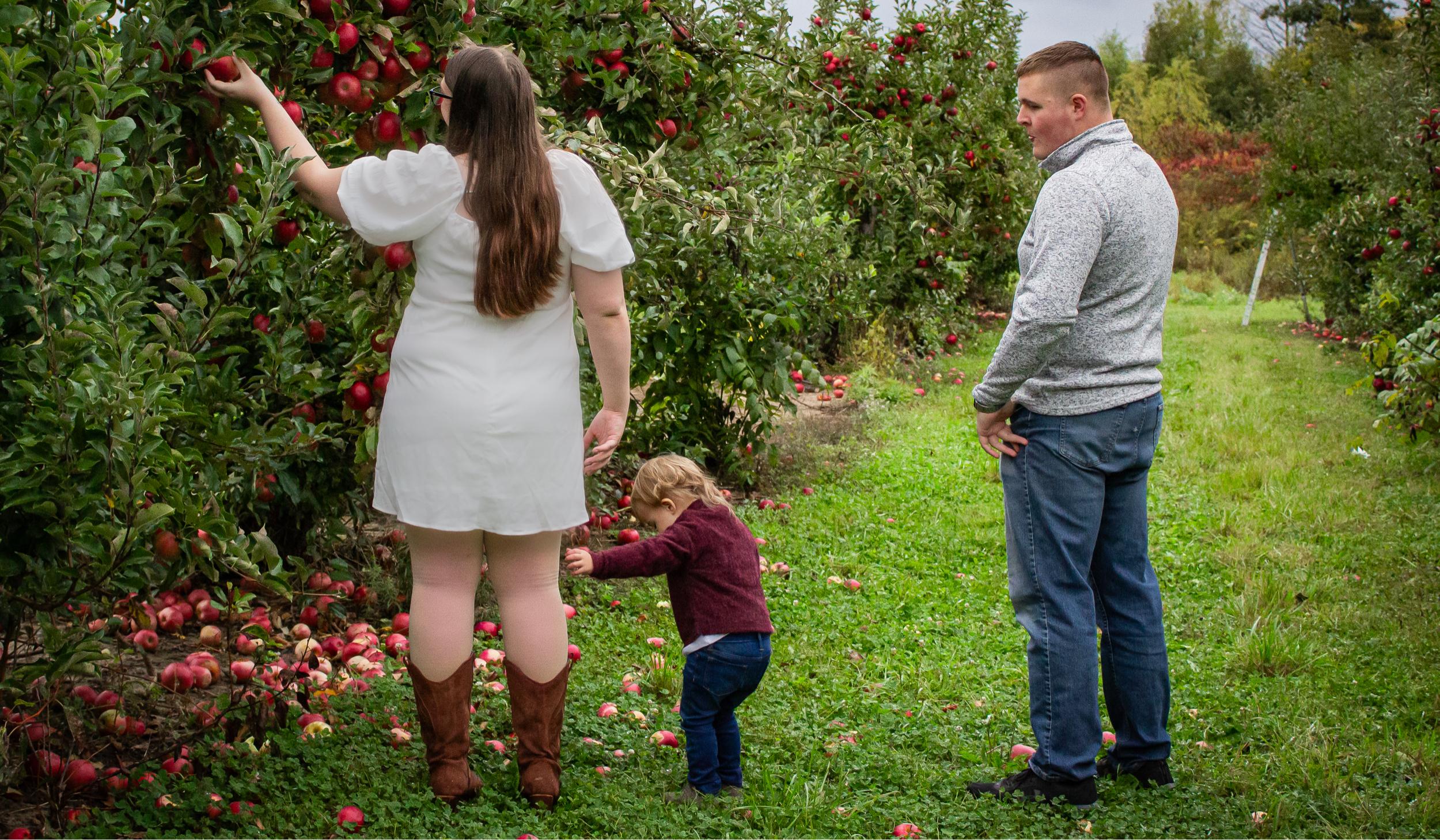 Kassidy Schrader and Alexander Jewett's Wedding Website