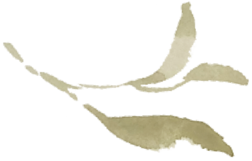 Morgan Englade and Tanner Yeates' Wedding Website