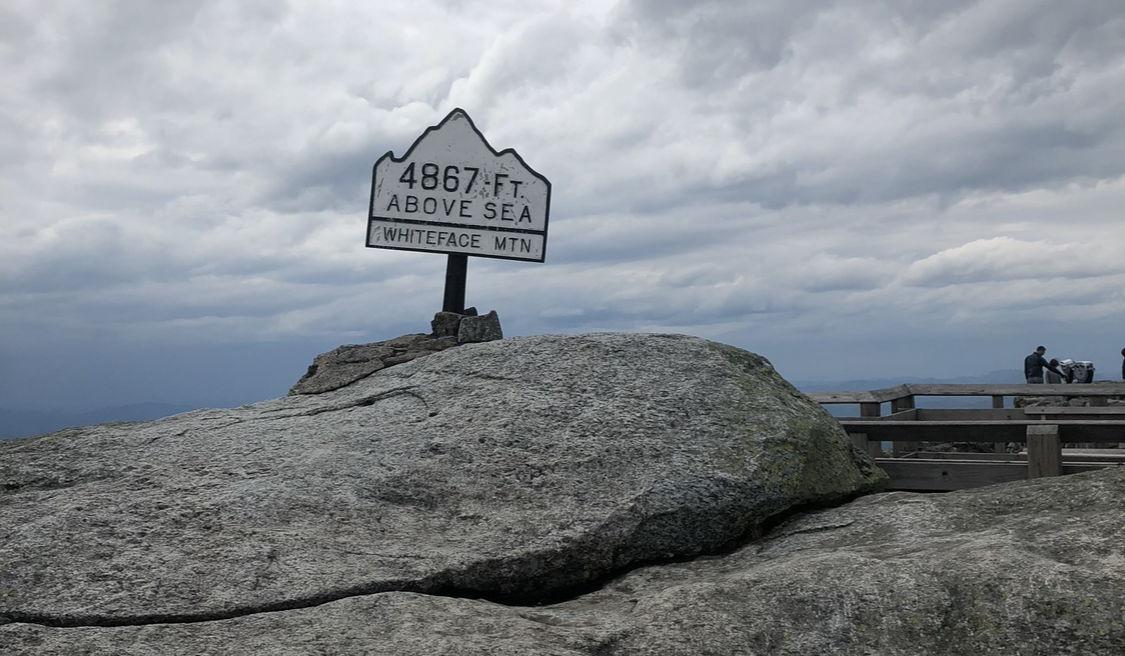 Laura Richards and John Crecco's Wedding Website