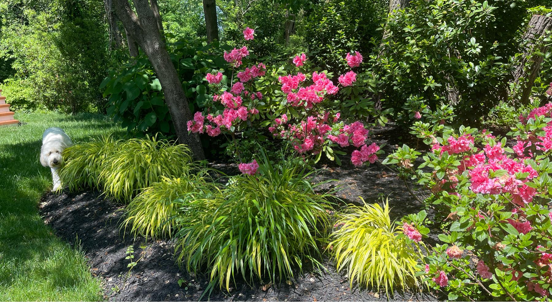 Amanda Buono and Brendan Platzer's Wedding Website