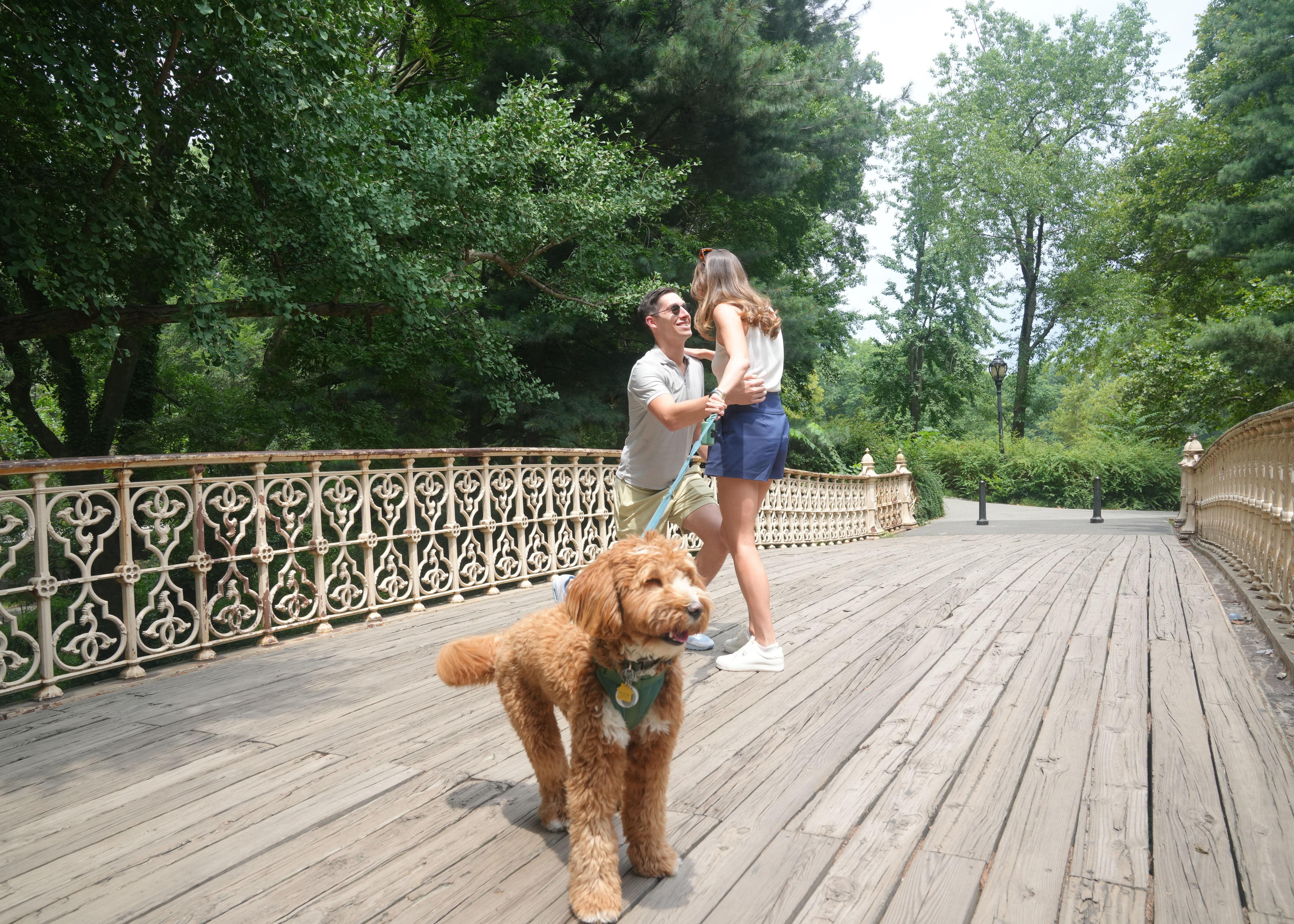 Juliet Bartz and Matt Ordover's Wedding Website