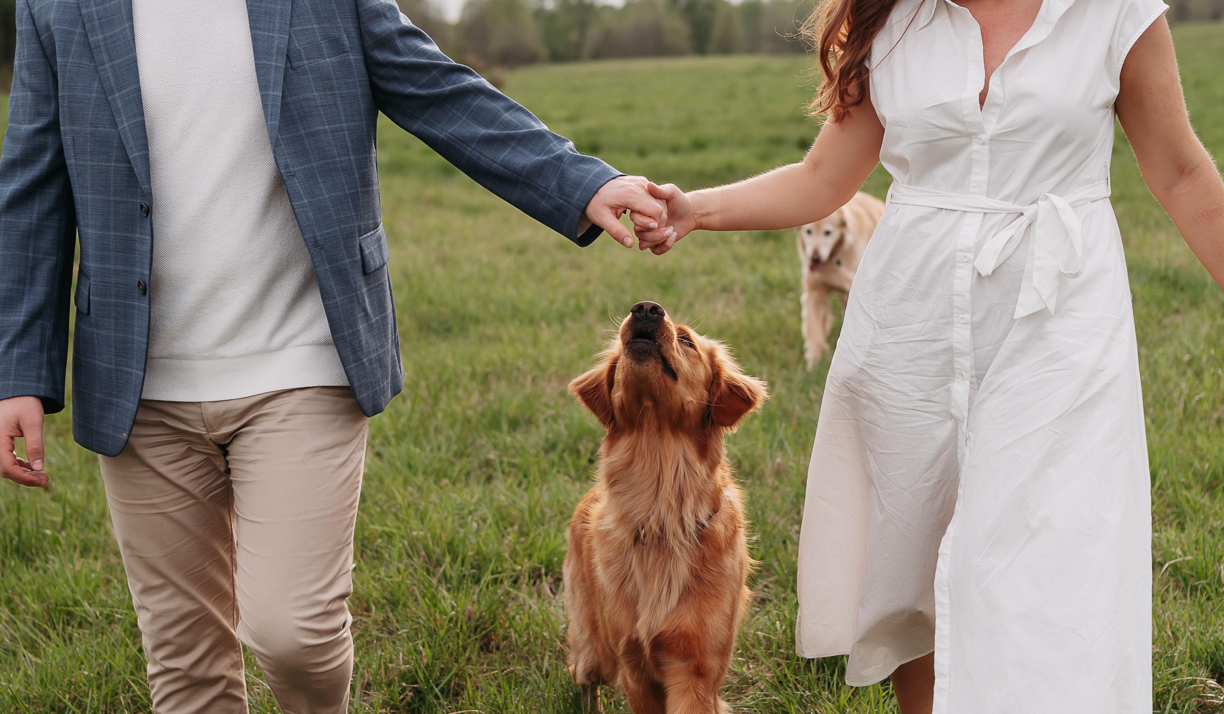 Elizabeth Lally and Grant Antwine's Wedding Website