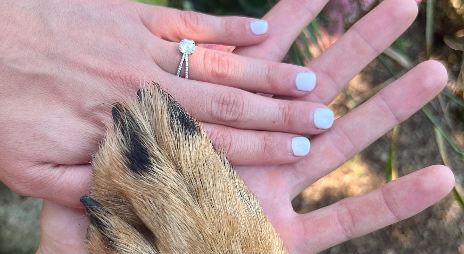 Jamie Balkin and Scott Woods' Wedding Website