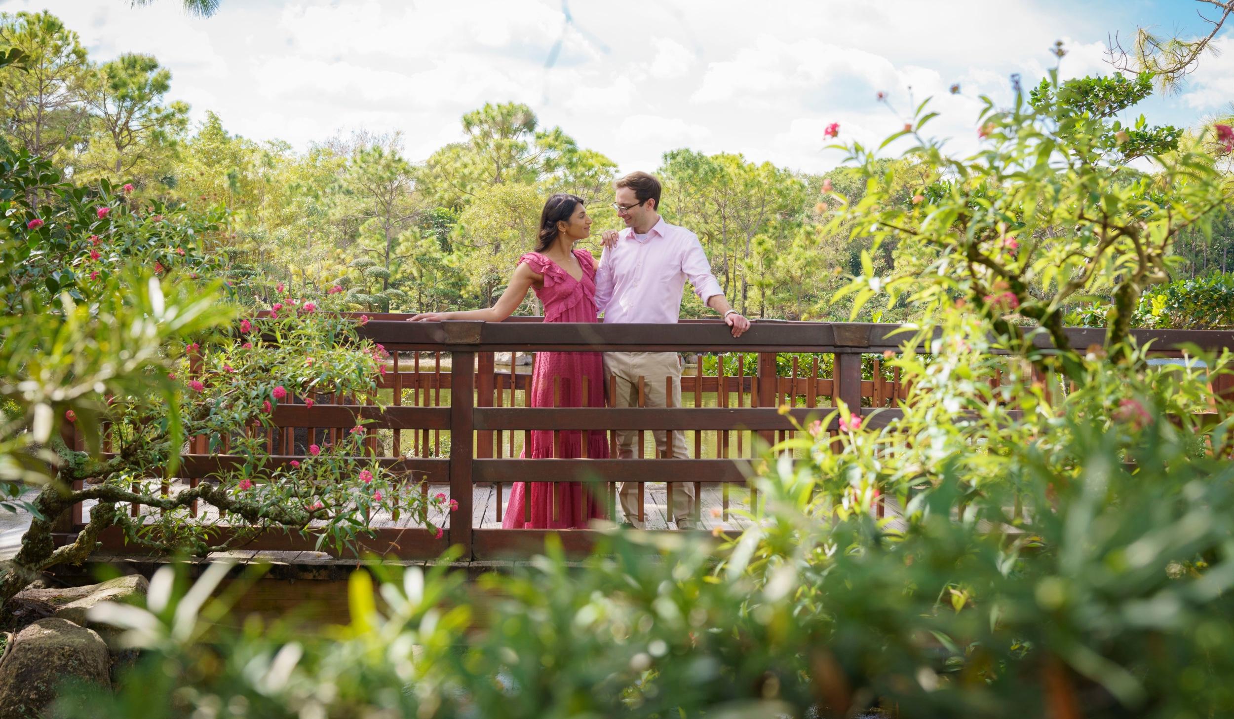 Ashita Mittal and David Mendel's Wedding Website