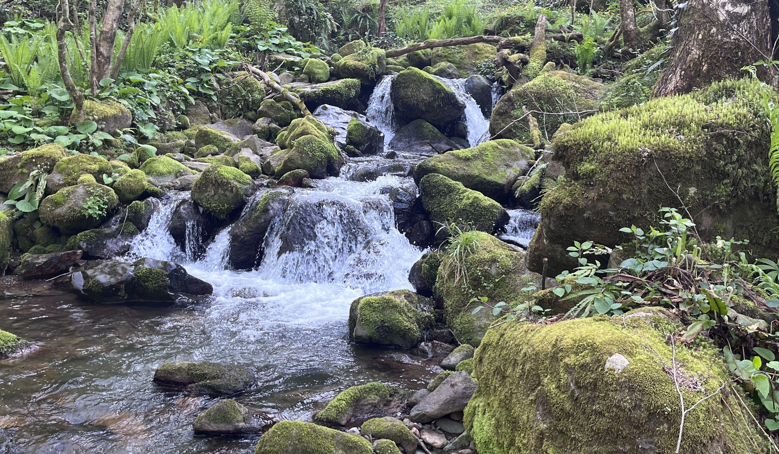 Iryna Kalnobrytska and Ilia Polatidi's Wedding Website