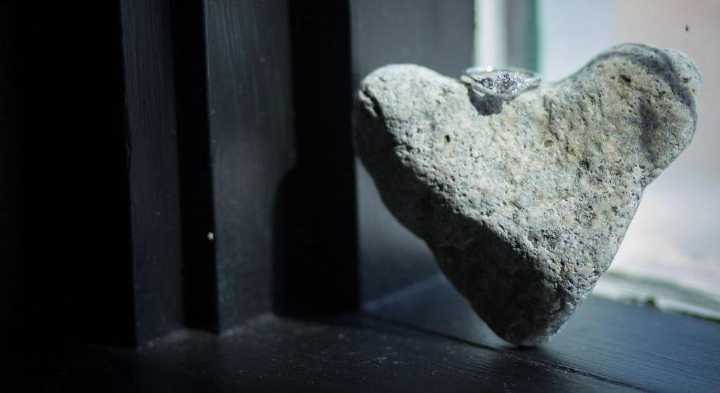 Emily LaVine and Steven Saucier's Wedding Website