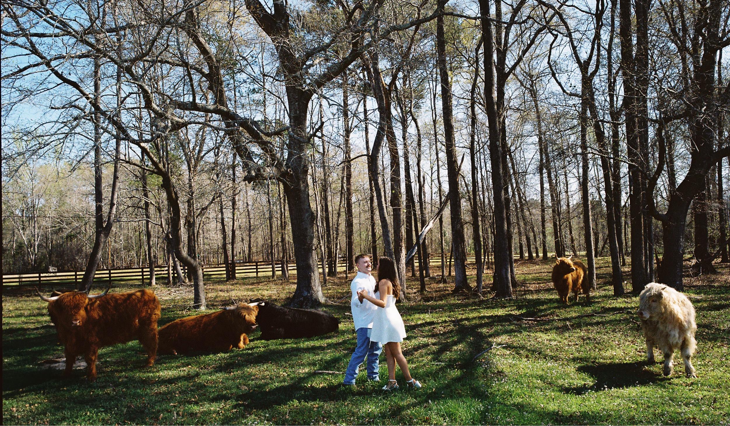 Lauren Madison Chadwick and Kyle Mathew Lewis' Wedding Website