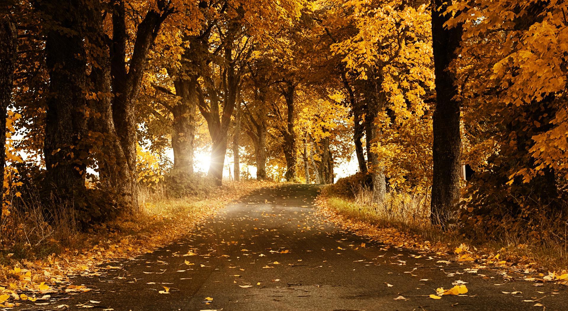 Annie Lomas and Justin Morgan's Wedding Website