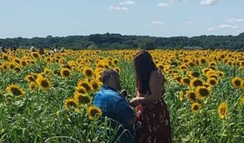 Christina Treacy and Robert Falco's Wedding Website