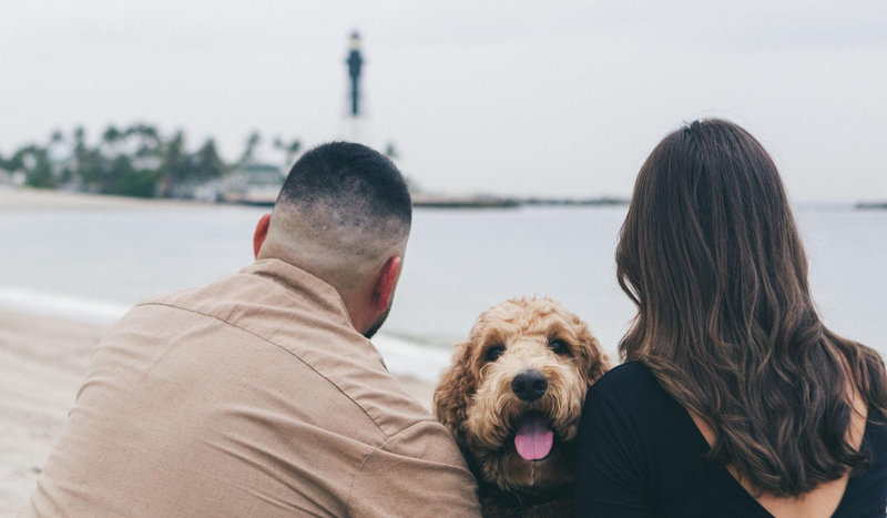 Jessica Fitzpatrick and Joey Muscolino's Wedding Website