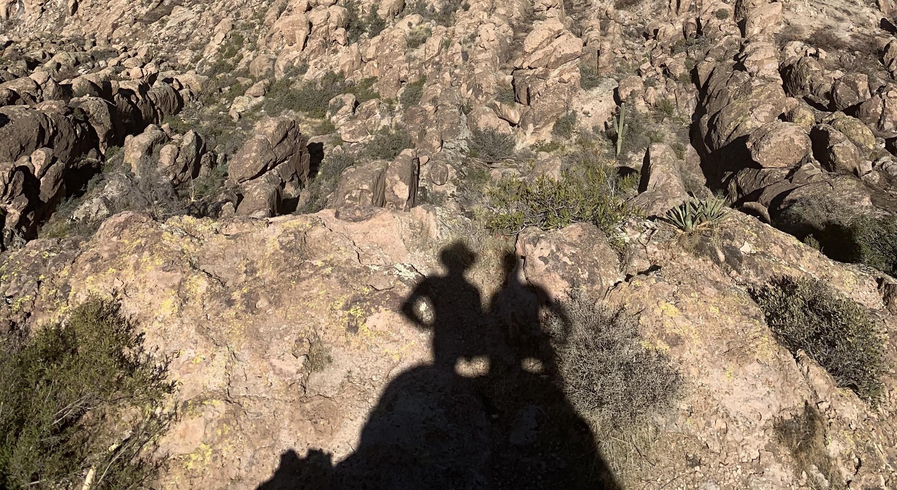 Mary Mardis and Michael Poletti's Wedding Website