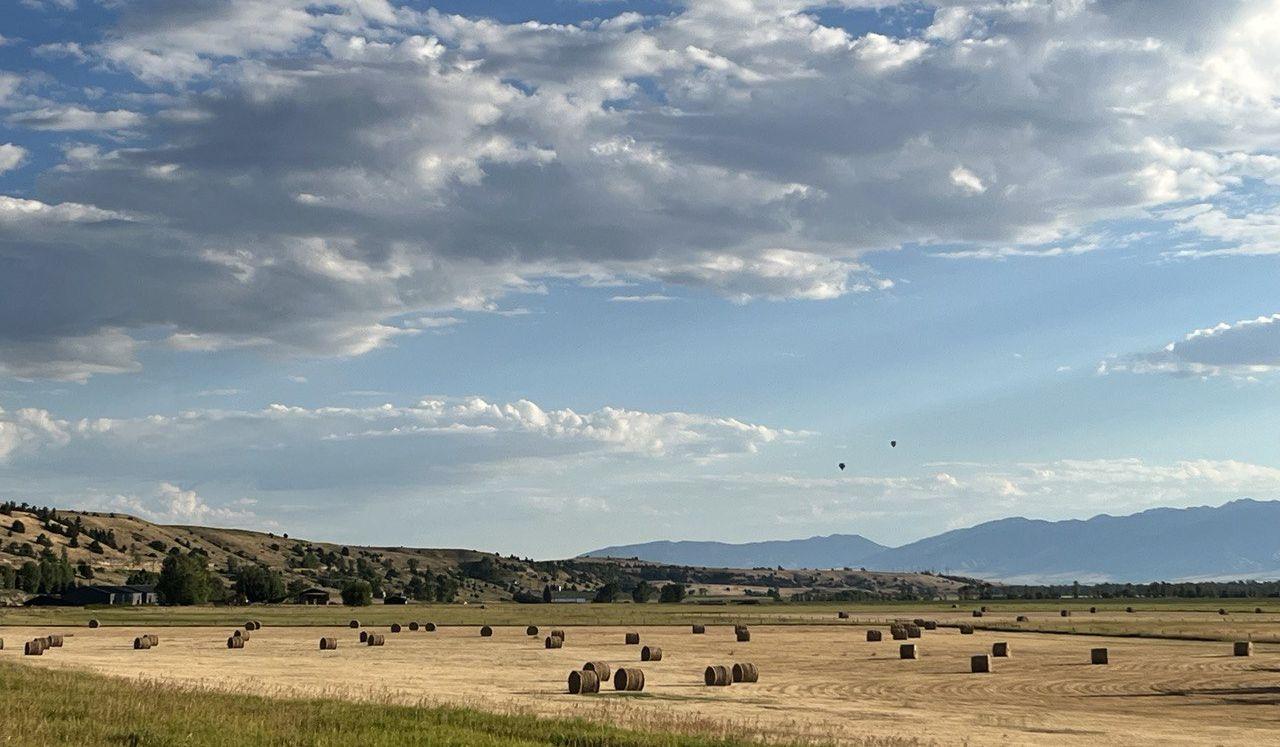 Kelsey Conophy and Luis Michael Ibarra-Bober's Wedding Website