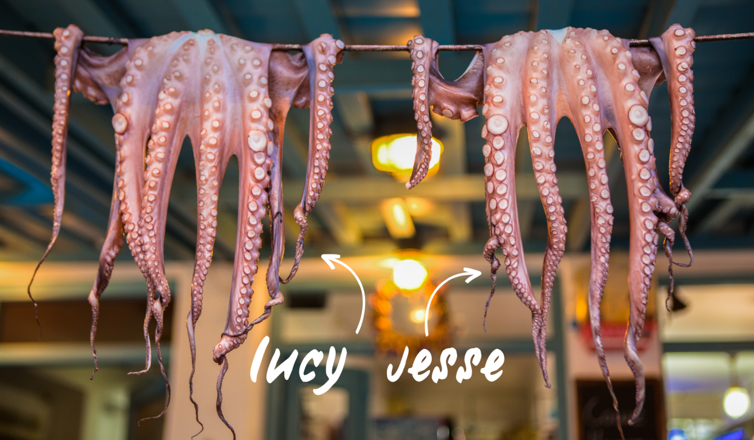 Lucy Warren-Whitman and Jesse Rosell's Wedding Website