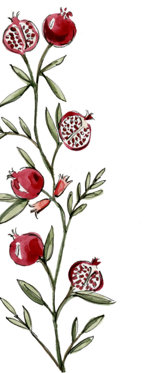 Katheryn Webb and Patrick Dundon's Wedding Website