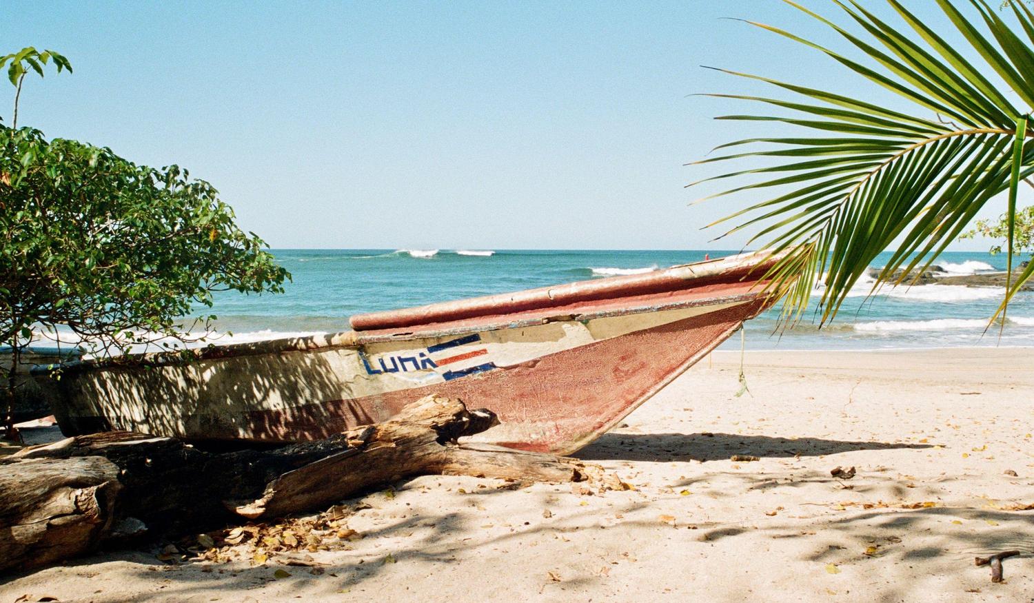 Teela Waggoner and Hartwell Carson's Wedding Website