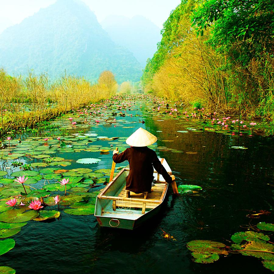 Fawn Truong and Shane Baker's Wedding Registry on Zola