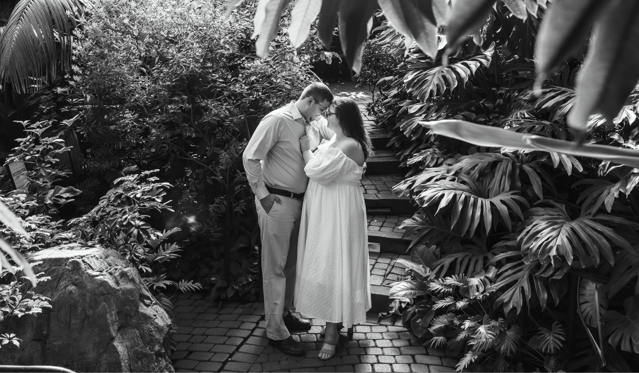 Emma Woodward and Jeffrey Brink's Wedding Website